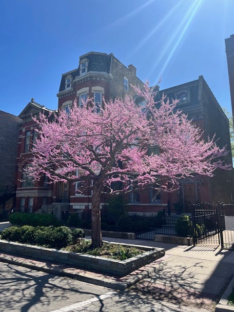 Feeling 'Under Construction' - by Alyssa Perez