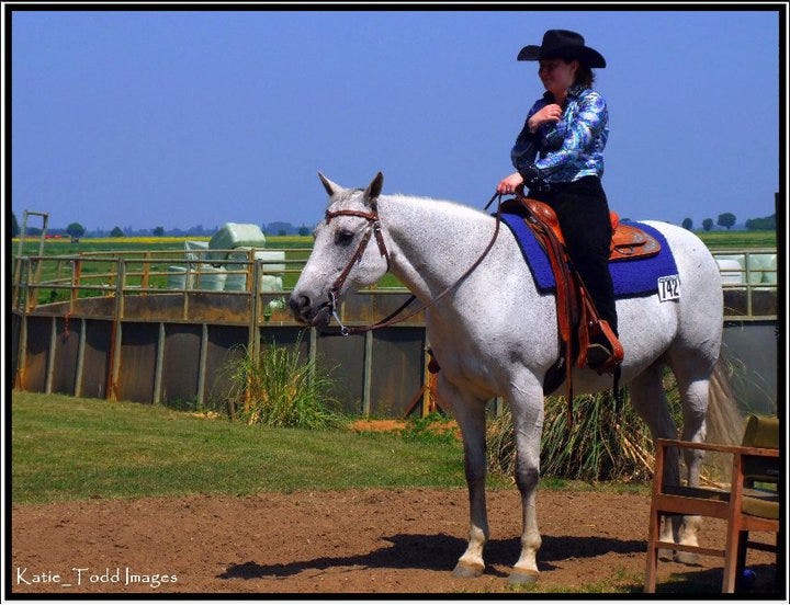 Curious Equestrian | Substack