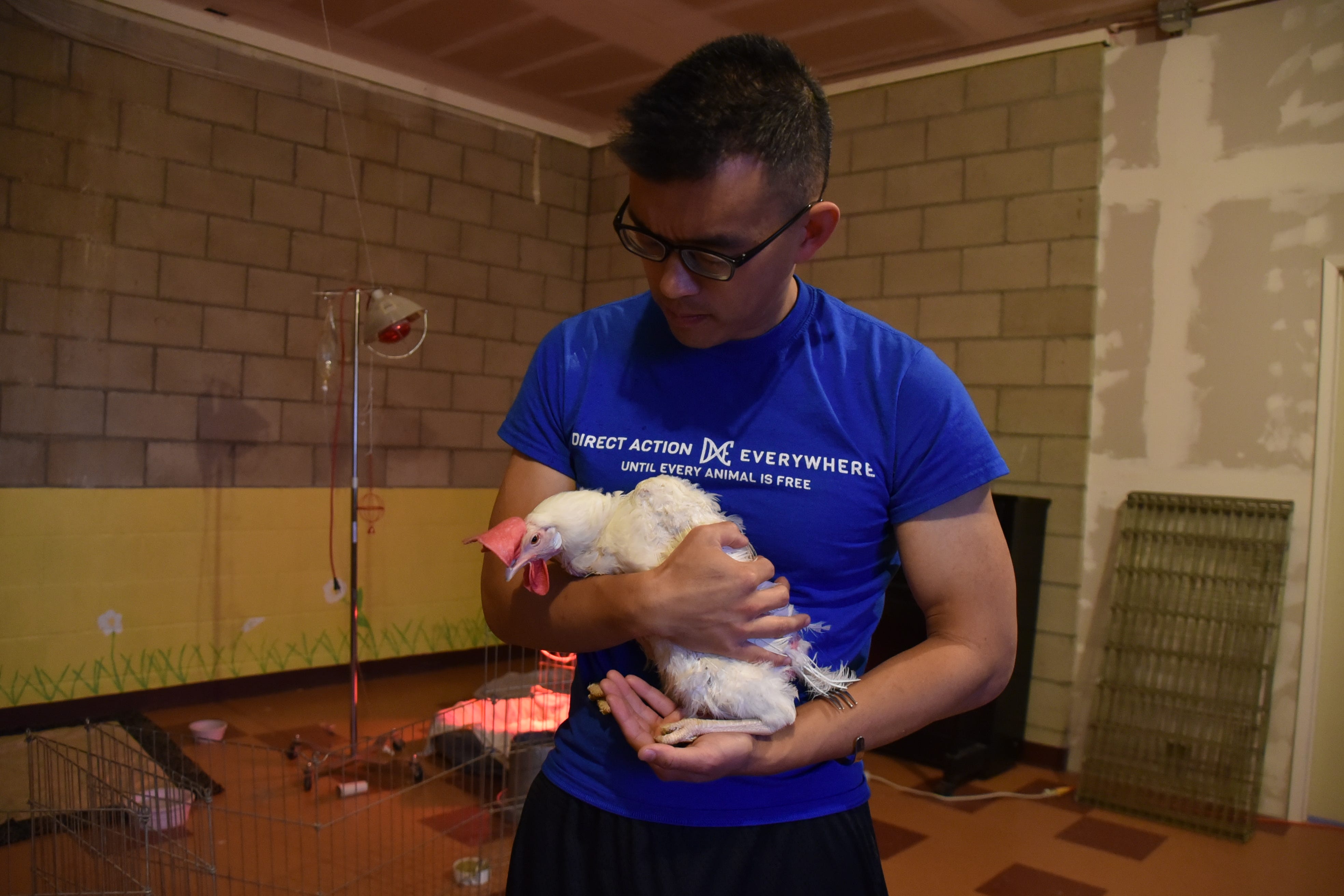 I am in jail. And I'm grateful. - by Wayne Hsiung