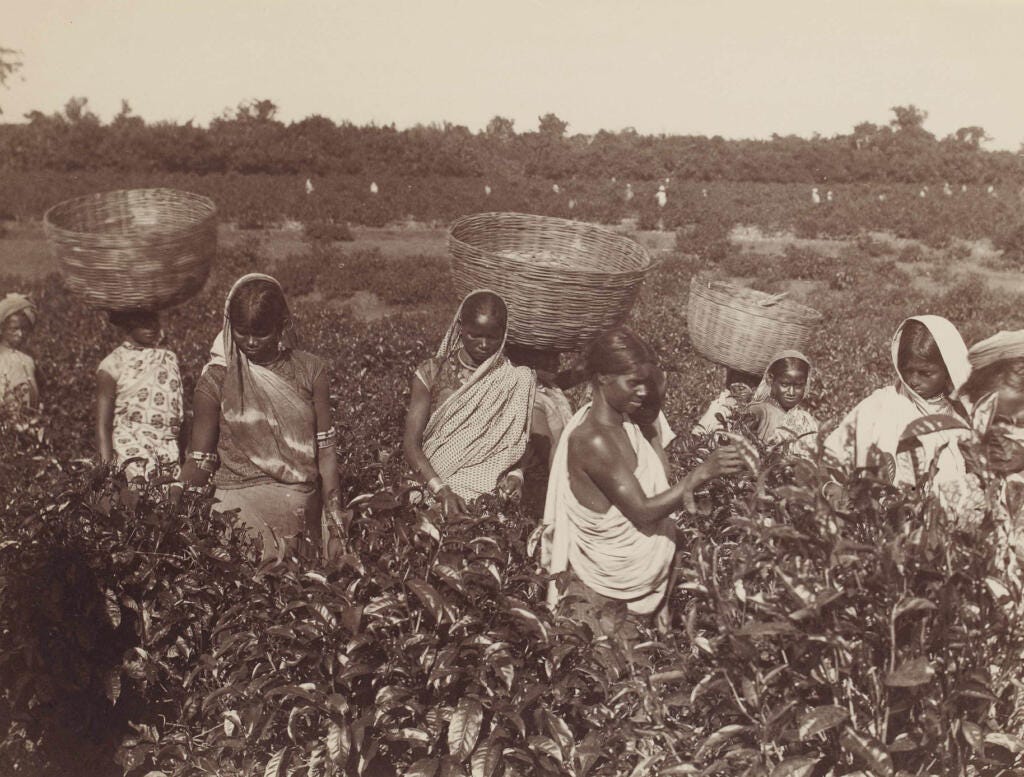 Chai Time? Colonial Entanglements of Labor and Leisure from Tea ...
