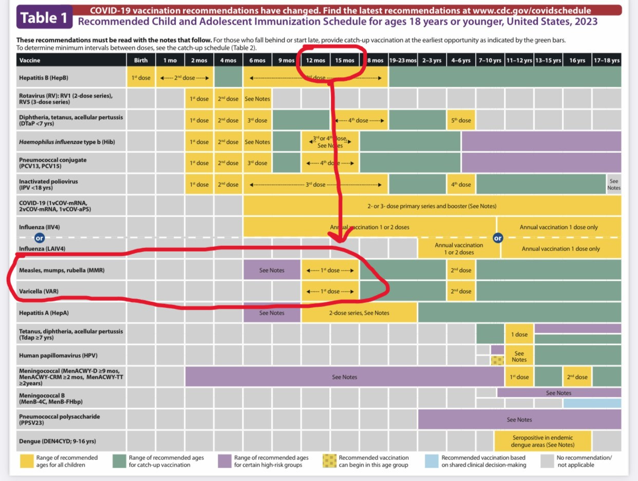 Measles and Cancer: Measles can be good for you?