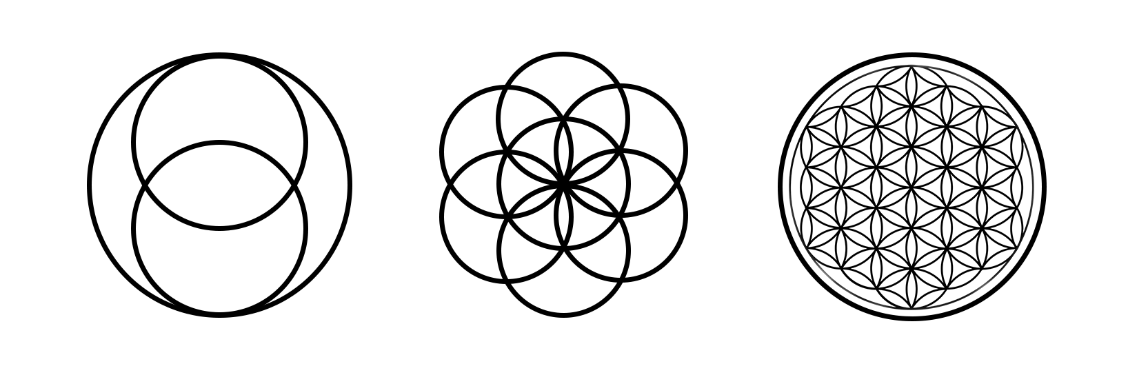 Vesica Piscis, a Lens into Entanglement - by Julie Schmidt