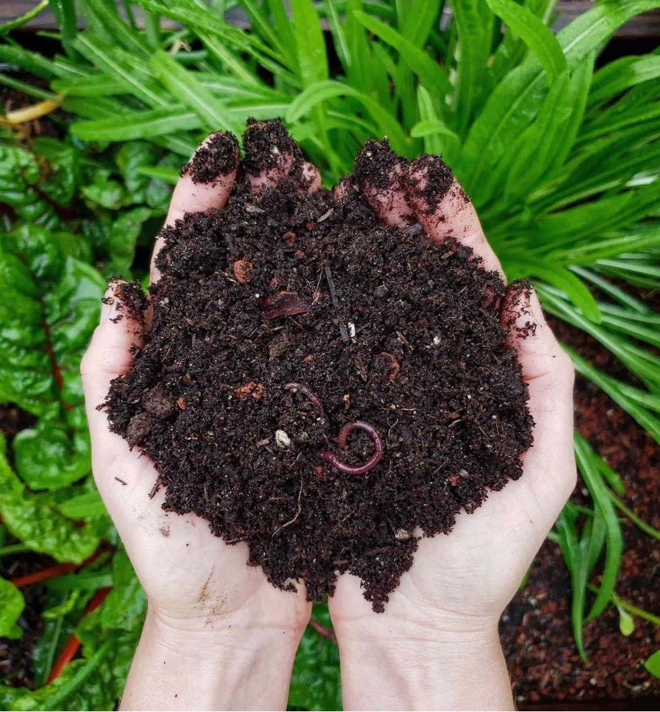 What is composting? How does it work? - by Pat Sullivan