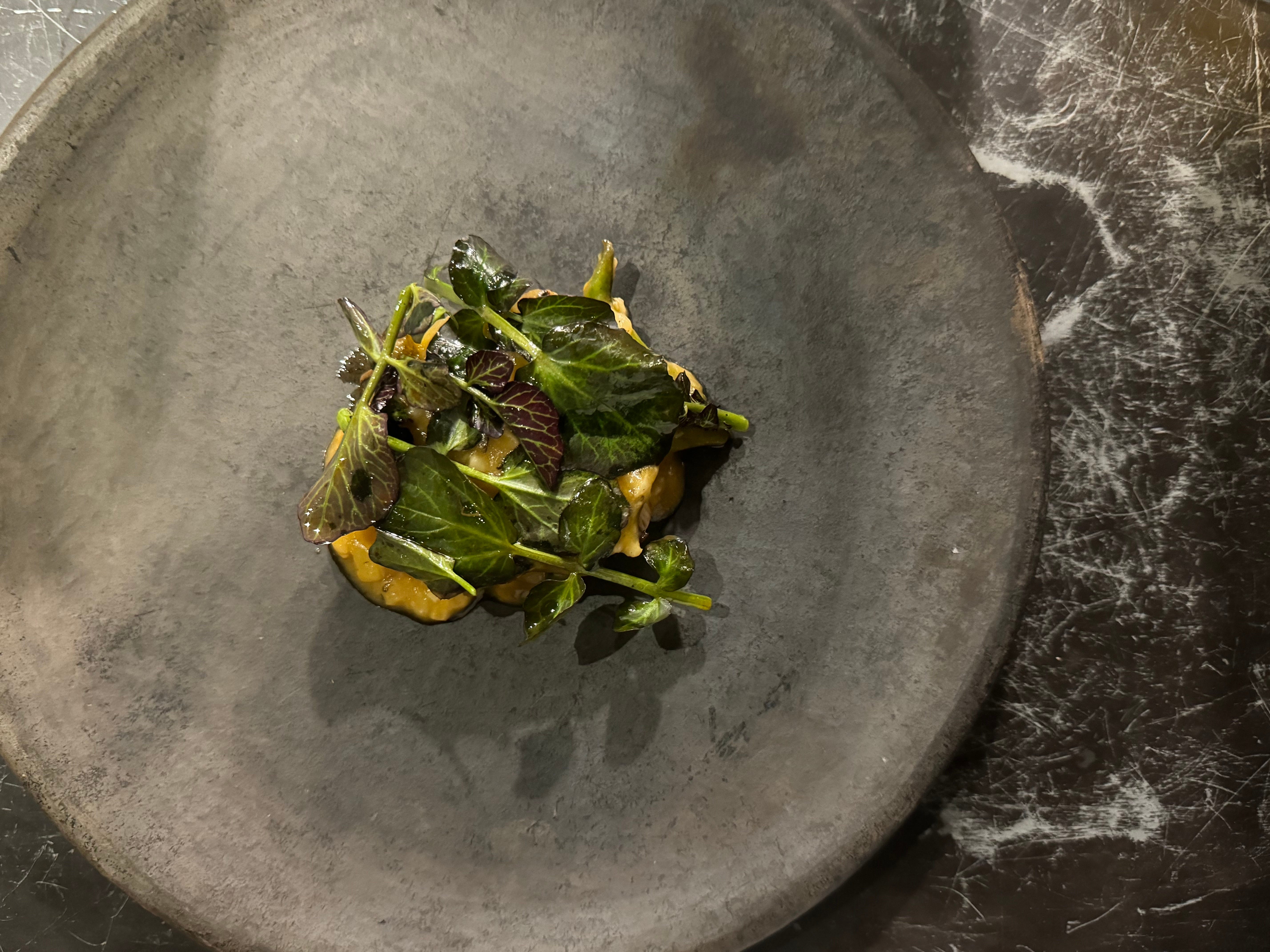 Review: Corima Is a Mexican Tasting Menu Marvel