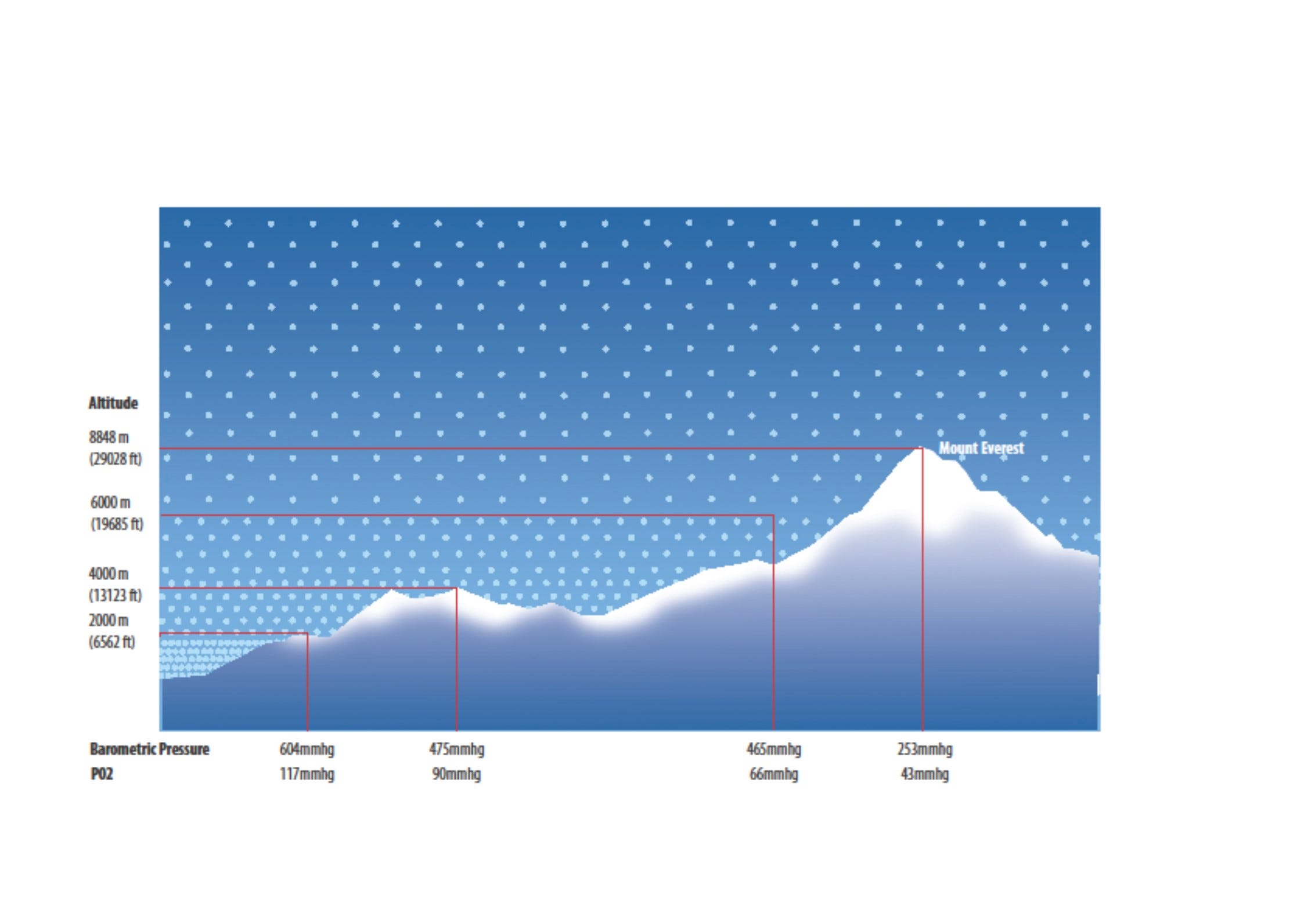 Oxygen Dynamics - by john hellemans - Endurance Essentials