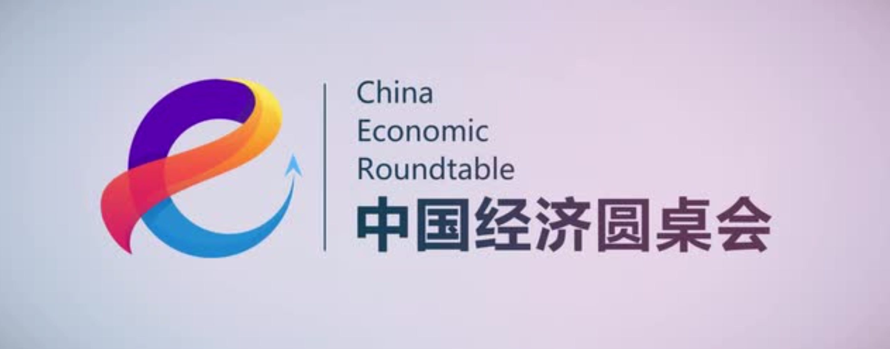 Chinese experts' perspectives on some key aspects of China's economy