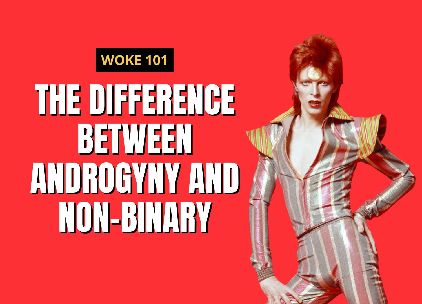Woke 101: What is the difference between androgyny and non-binary?