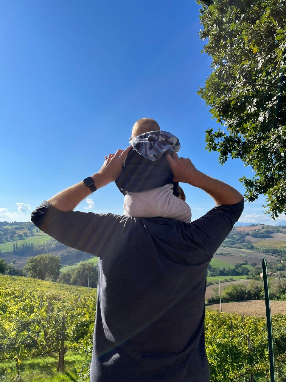 Peter-Jan Roose | Substack