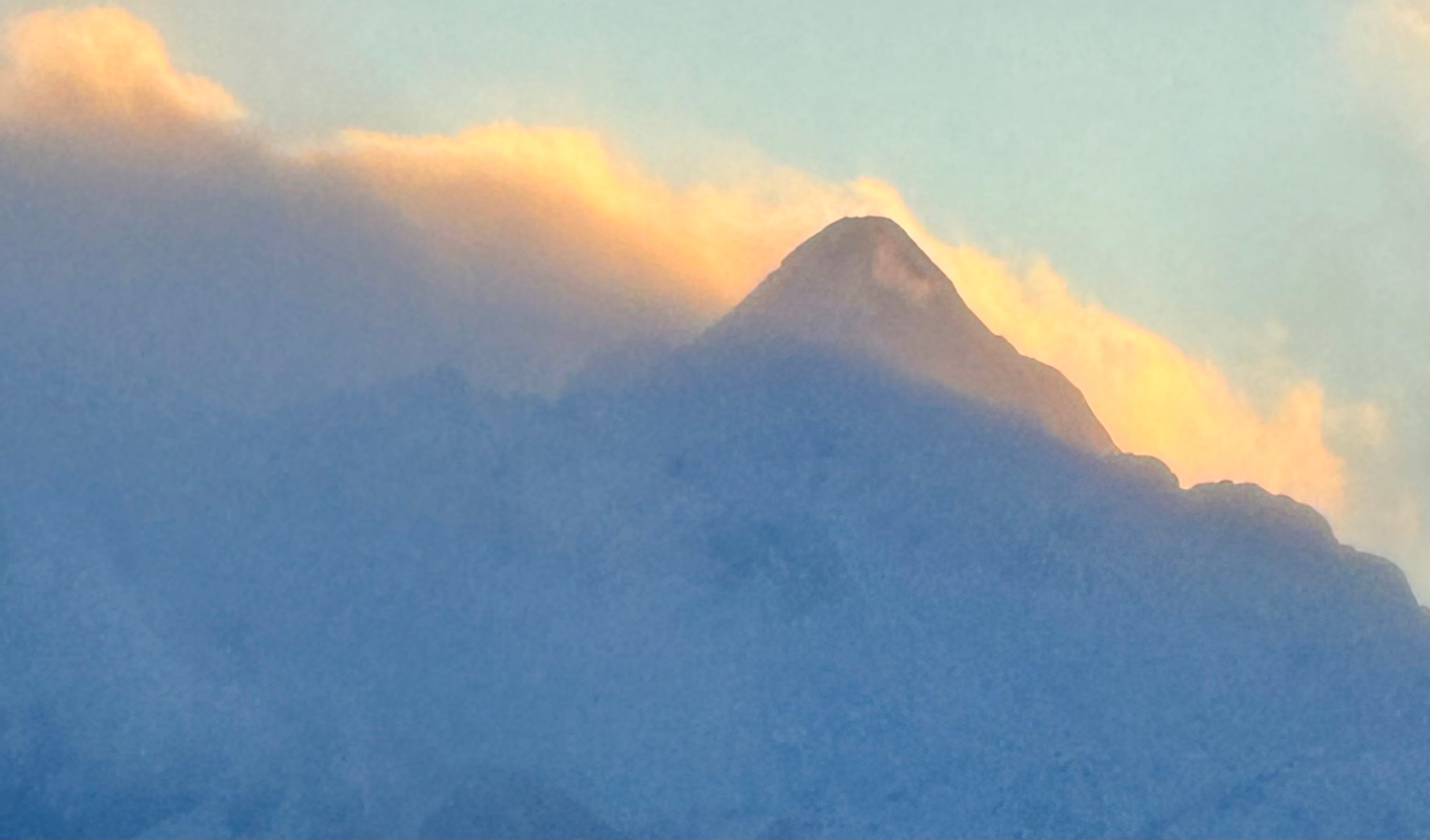 The Art of Getting Sick - Isa Catto