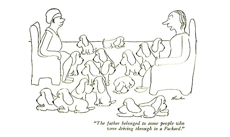 Thurber Prize For American Cartoon Art - by Liza Donnelly