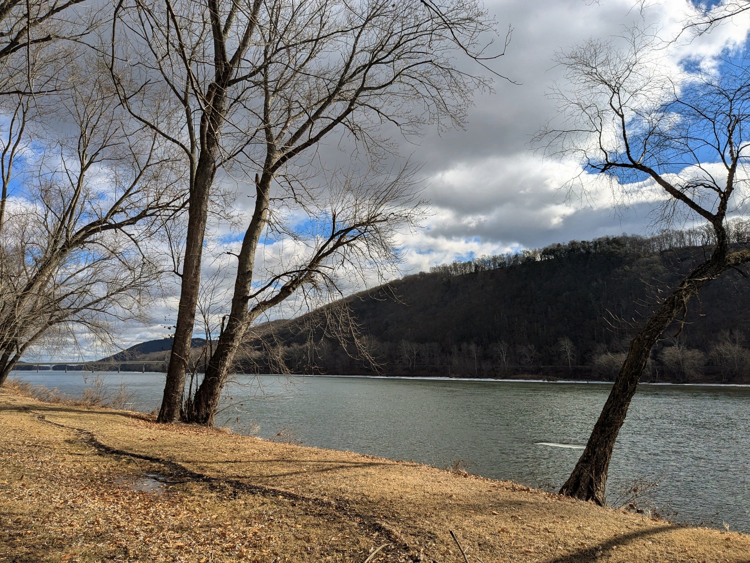 All the Trees of the Field Will Clap Their Hands