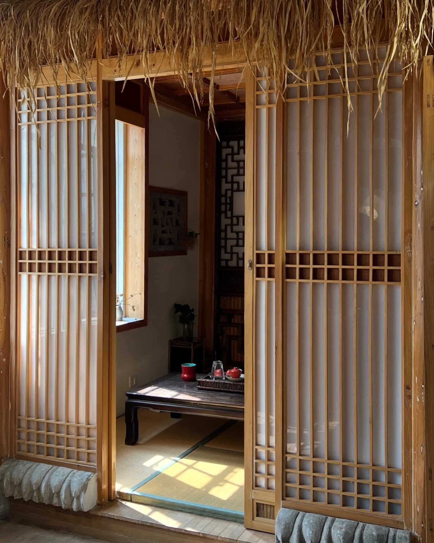 Rock Tea and Tremella in Shanghai - by Jessica Thompson