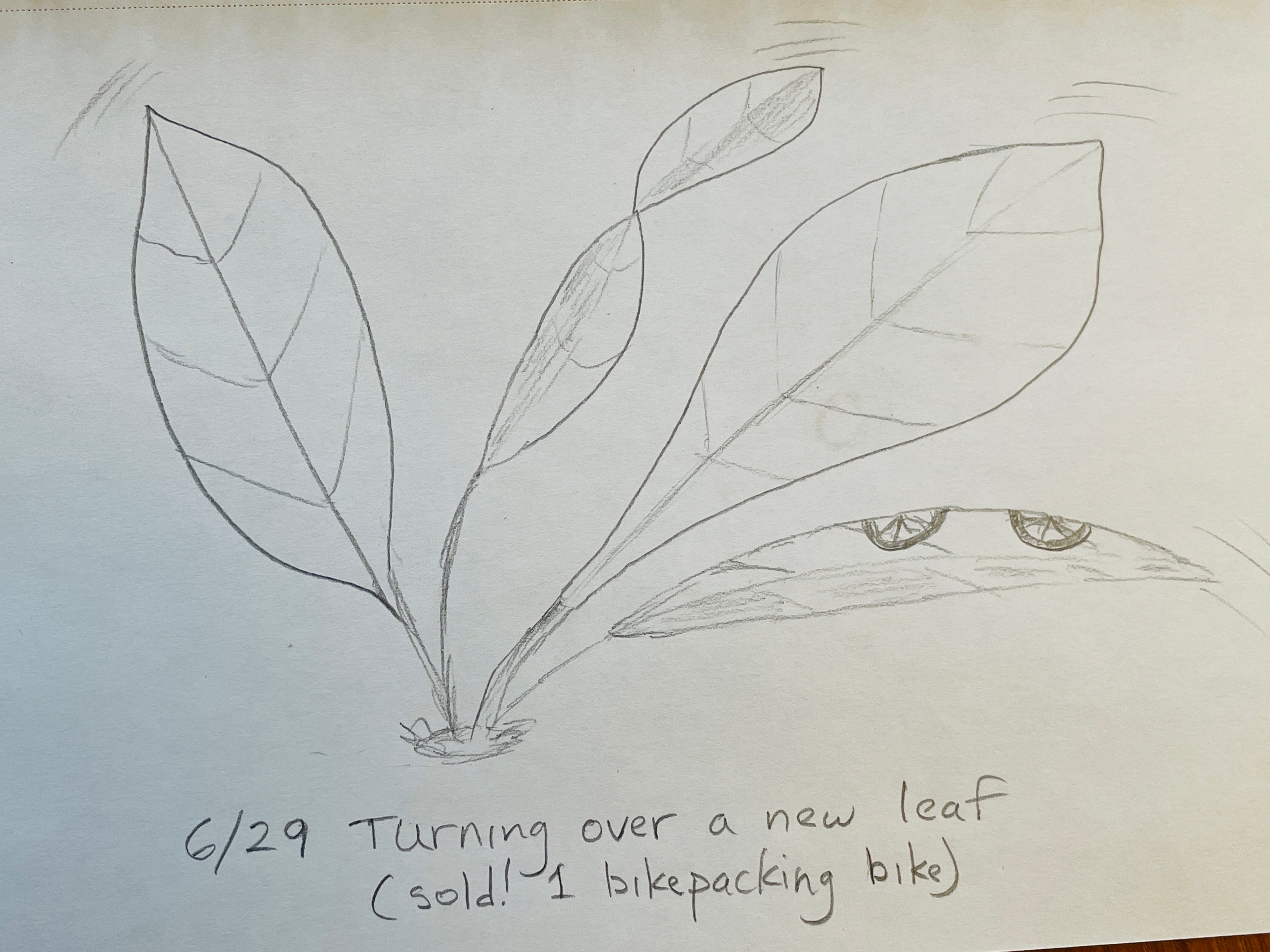 Sweating on stage - by Dakota Gale - Traipsing About