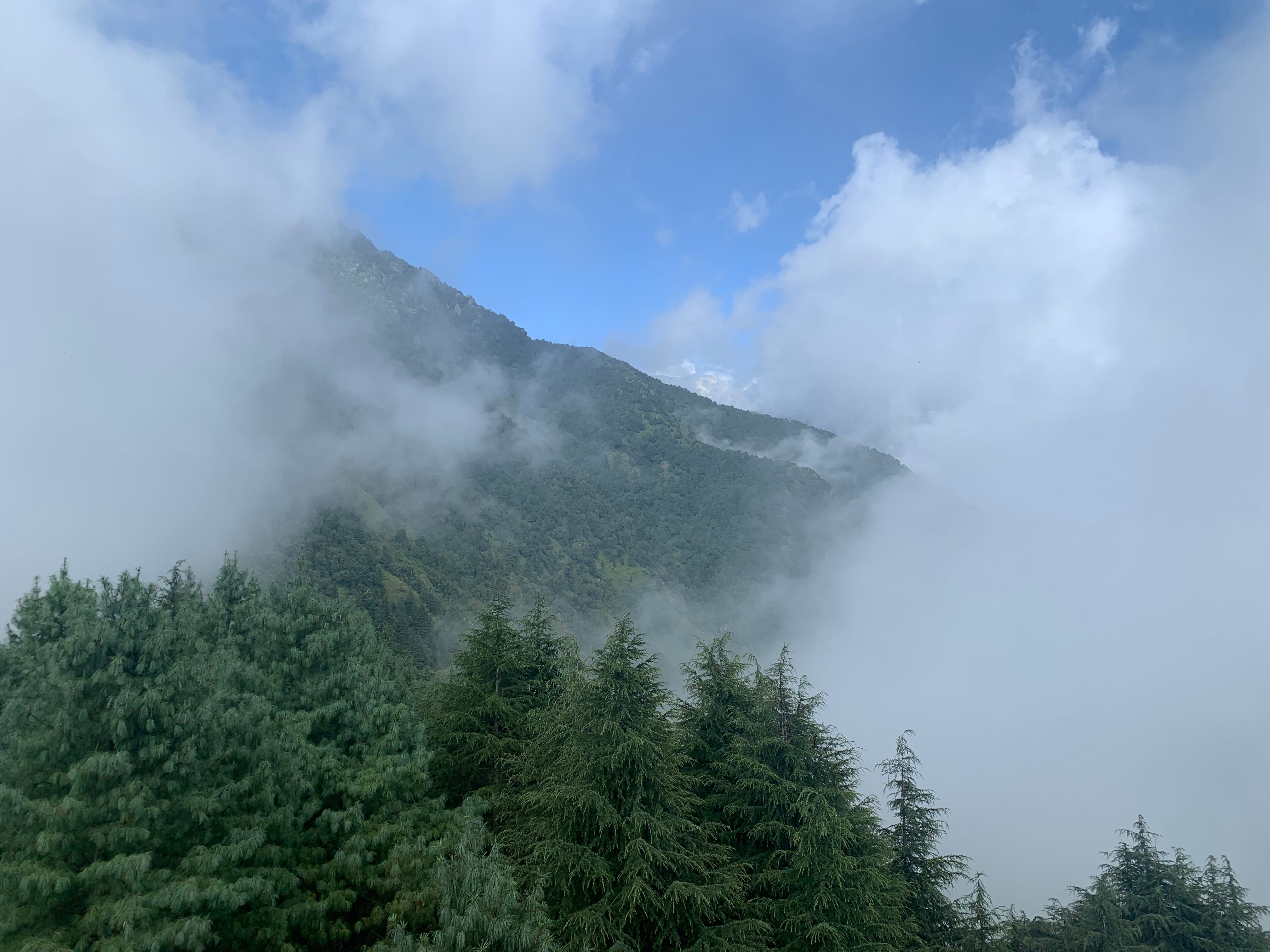 I'm doing it. - Courtney Smyth