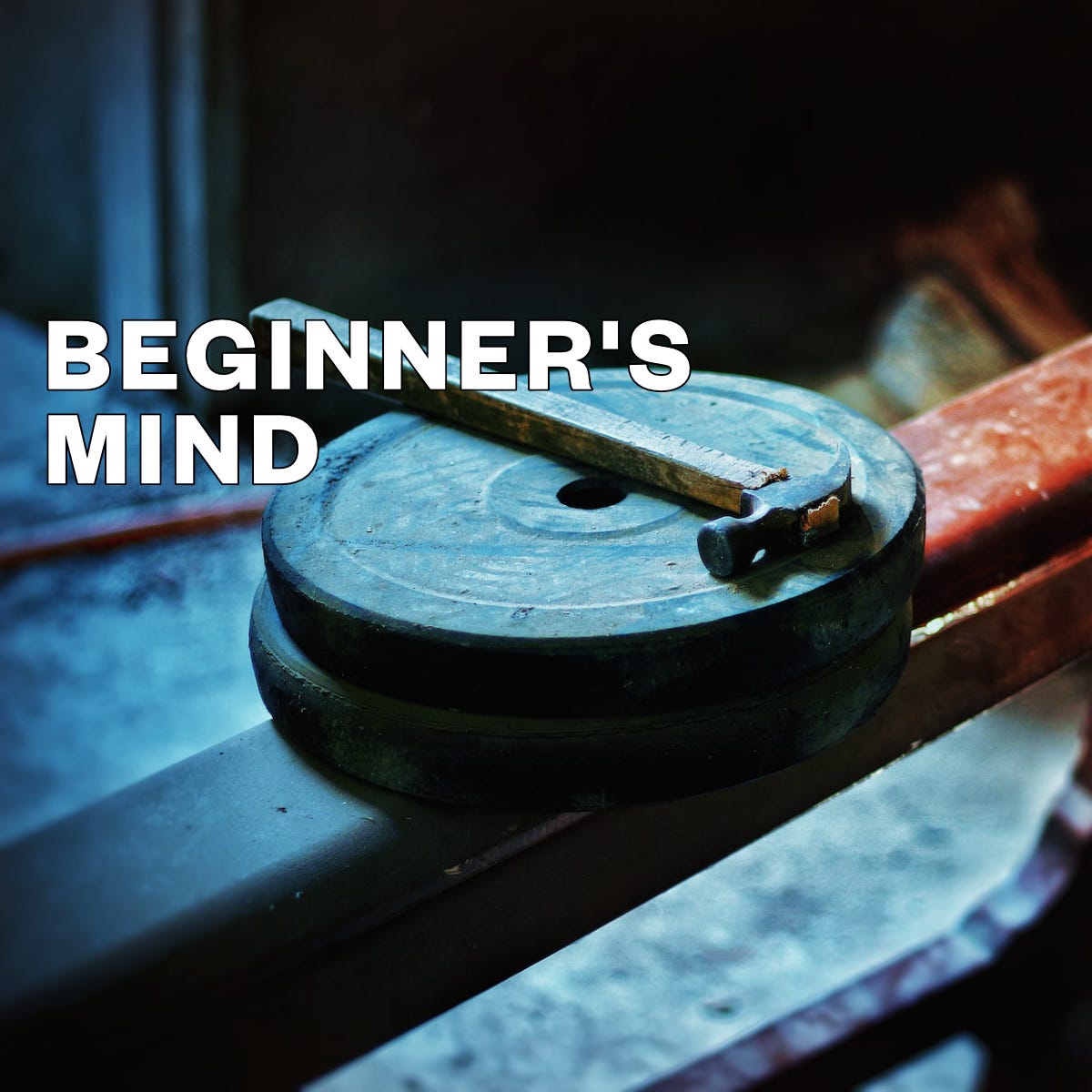 Beginner’s Mind - by Gareth I. Jones - The Good Founder