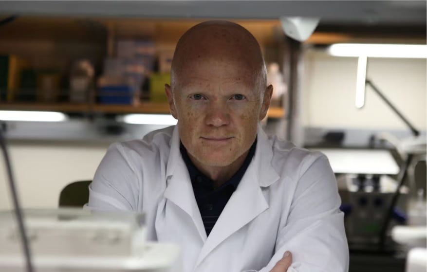 Part 1: Weighing up the value of weight loss drugs