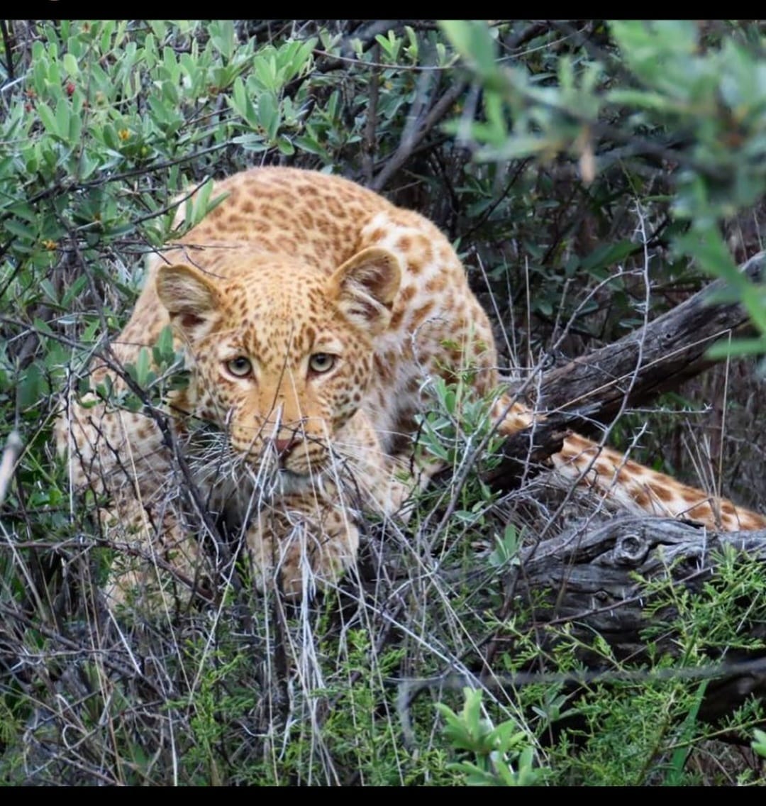 Monthly newsletter - January 2024 - by Marine