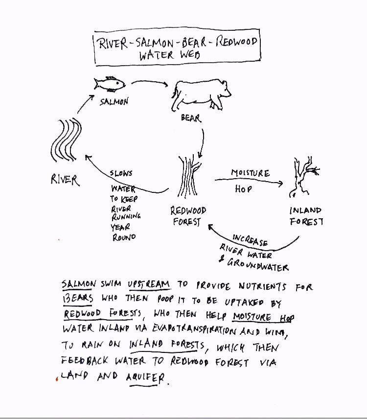 Web of water - by Alpha Lo - Climate Water Project