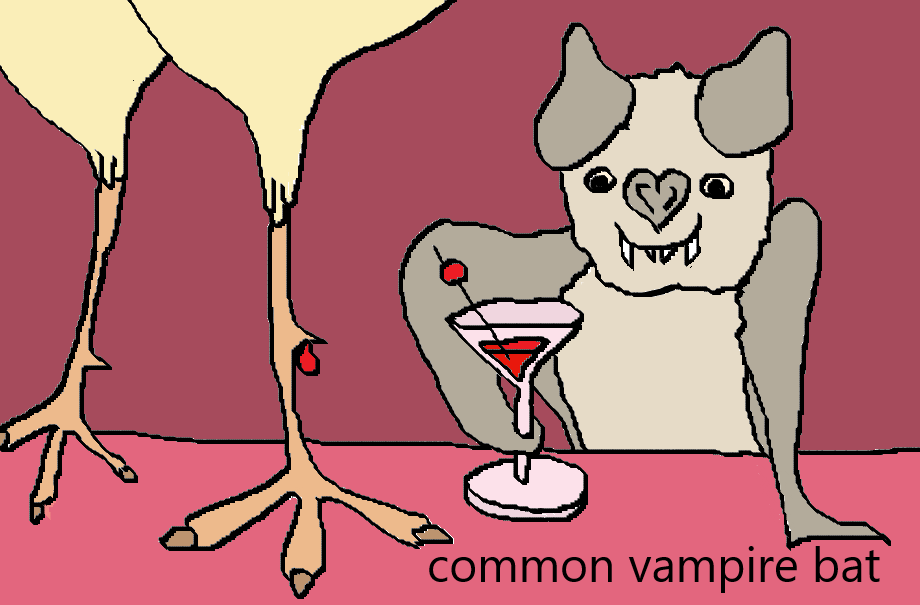 everything you never knew about vampire bats - by zoe klein