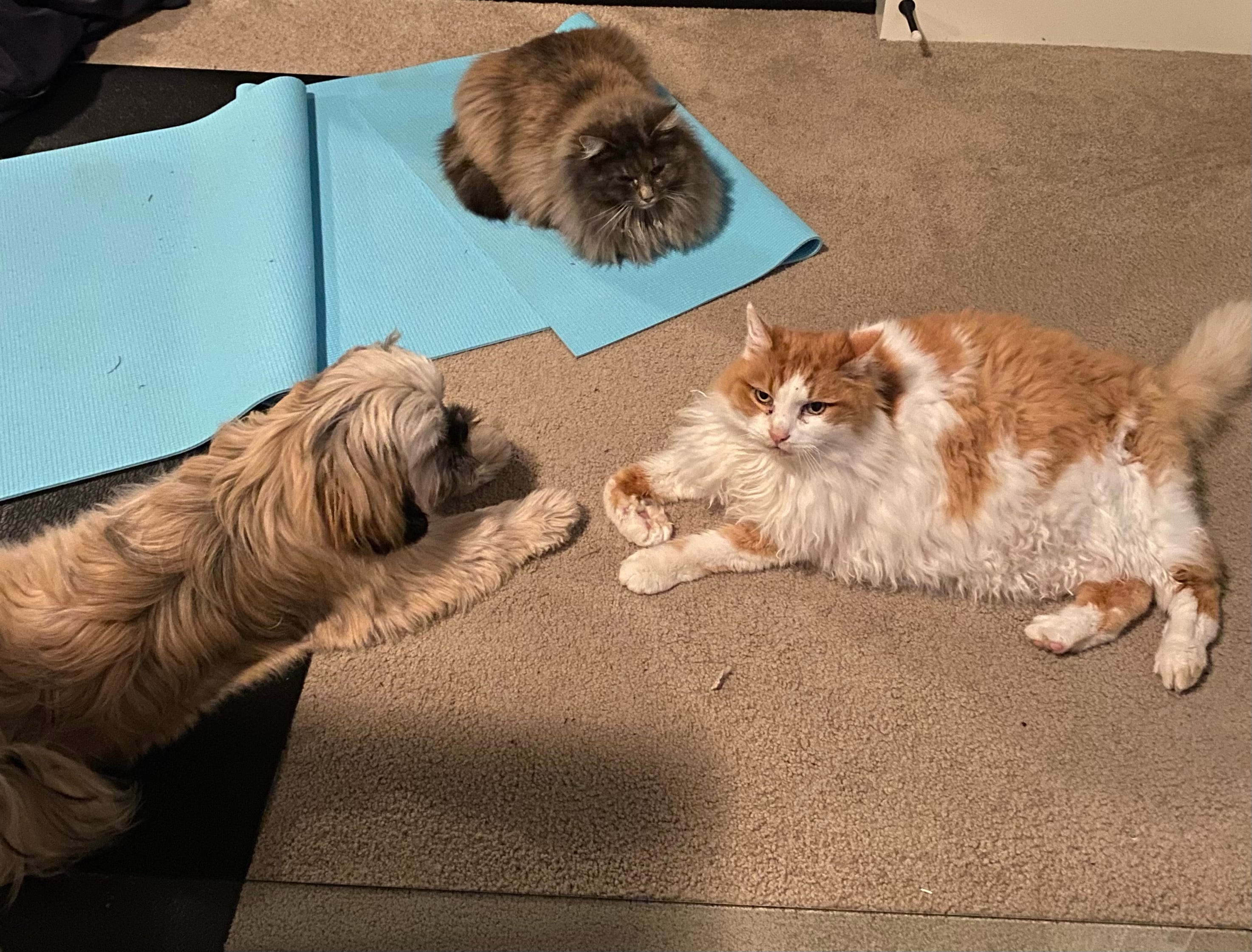 The Year of Housing 2.0: winners and losers