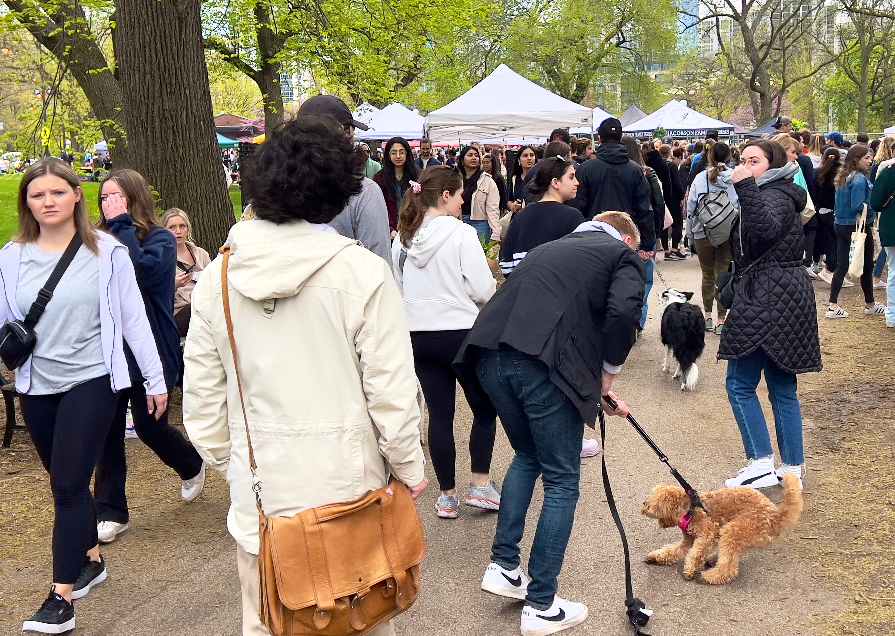 Beets Me - by Bob Benenson - Local Food Forum