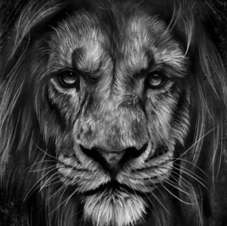 Kings Traders | Substack