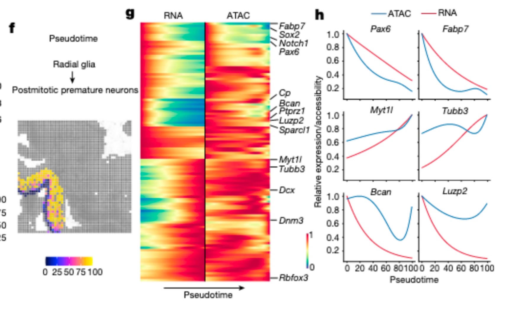 Introducing spatial epigenomics and transcriptomics profiling