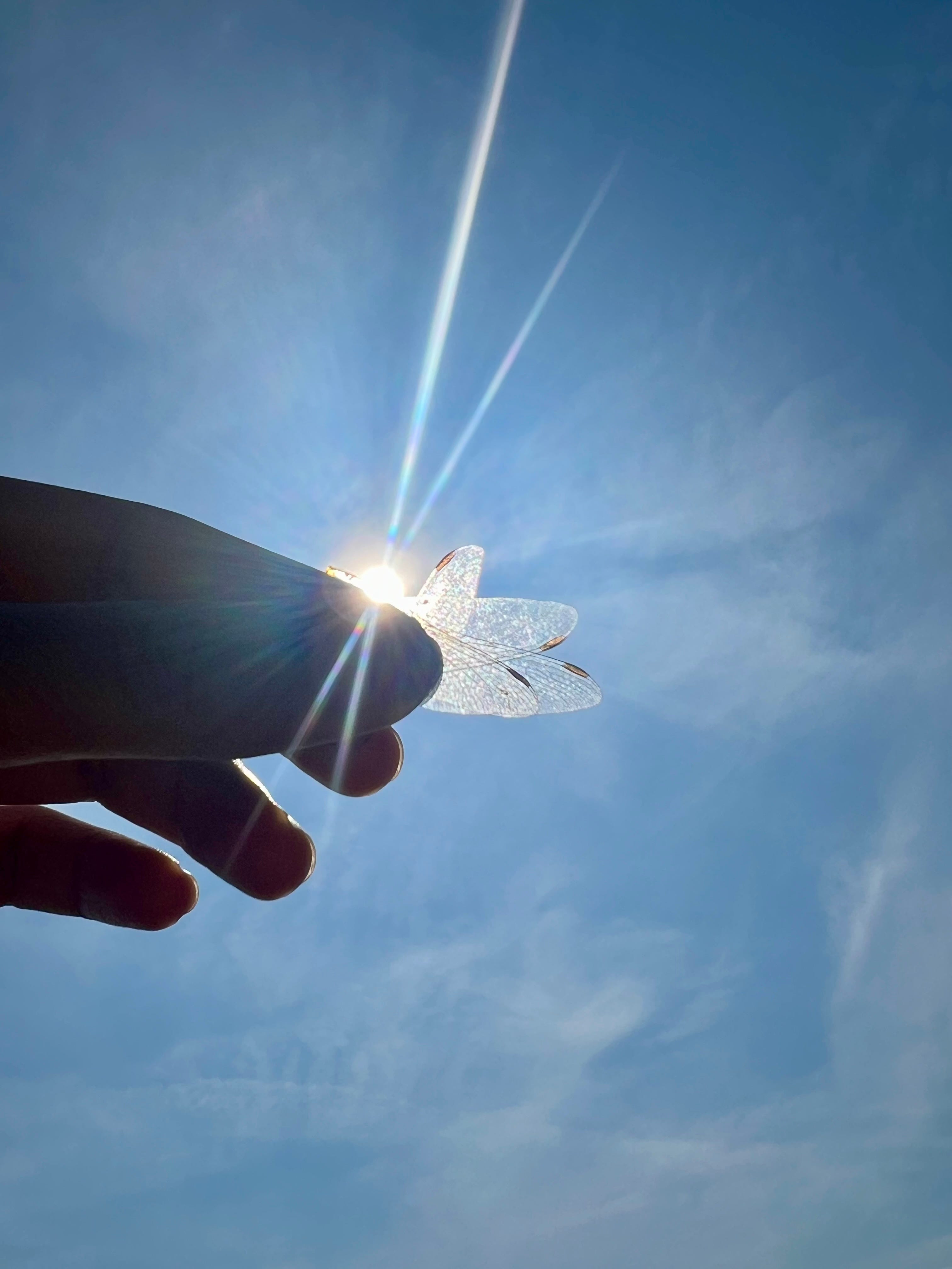 Moving back home - Kira’s Substack