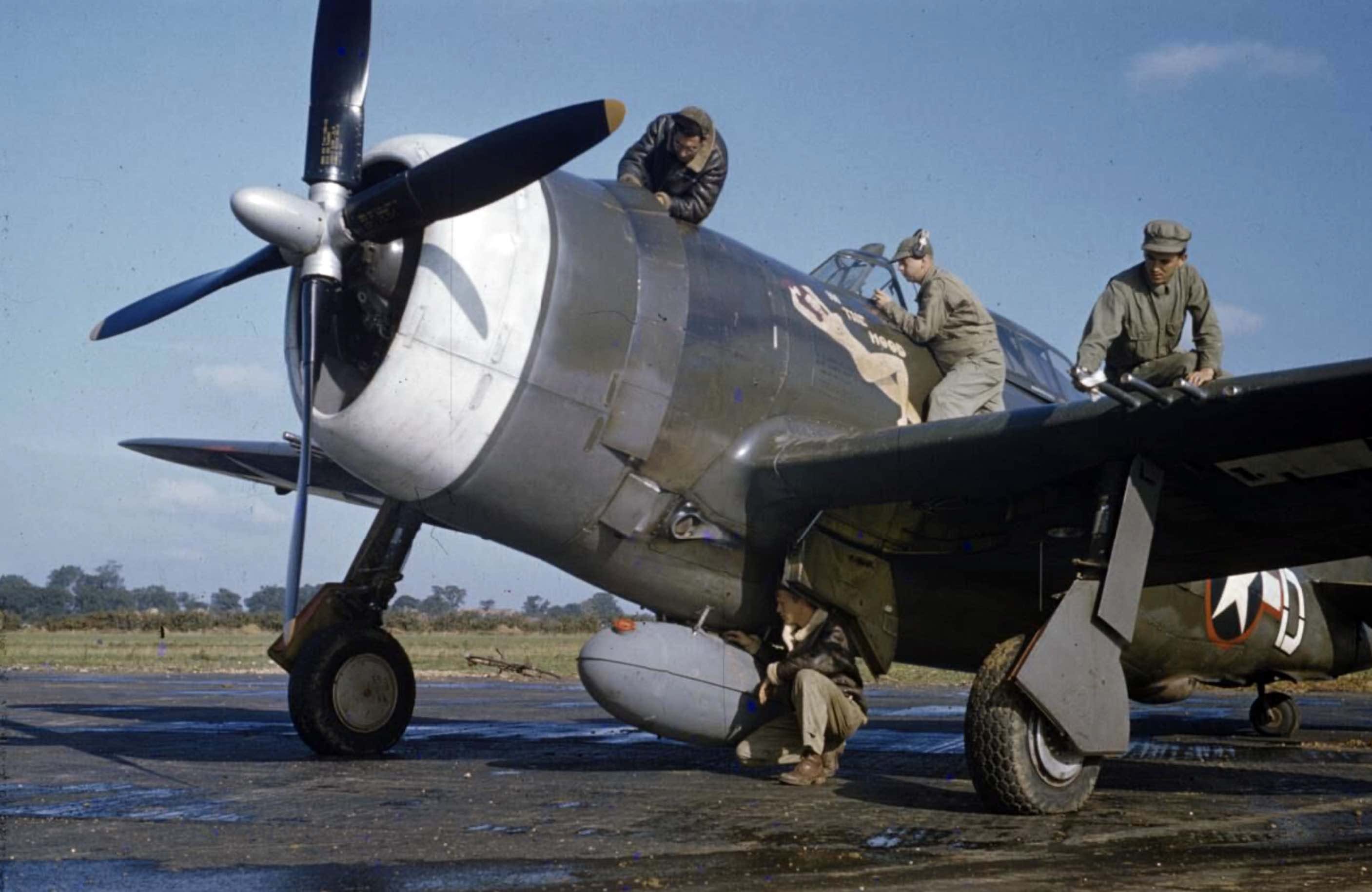 USAAF fighters surprise the Luftwaffe - by Martin Cherrett