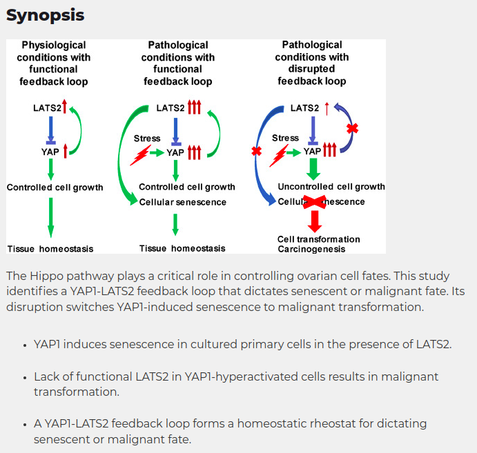 Matrisome of Ageing - by Ghanendra Singh - ageX Labs