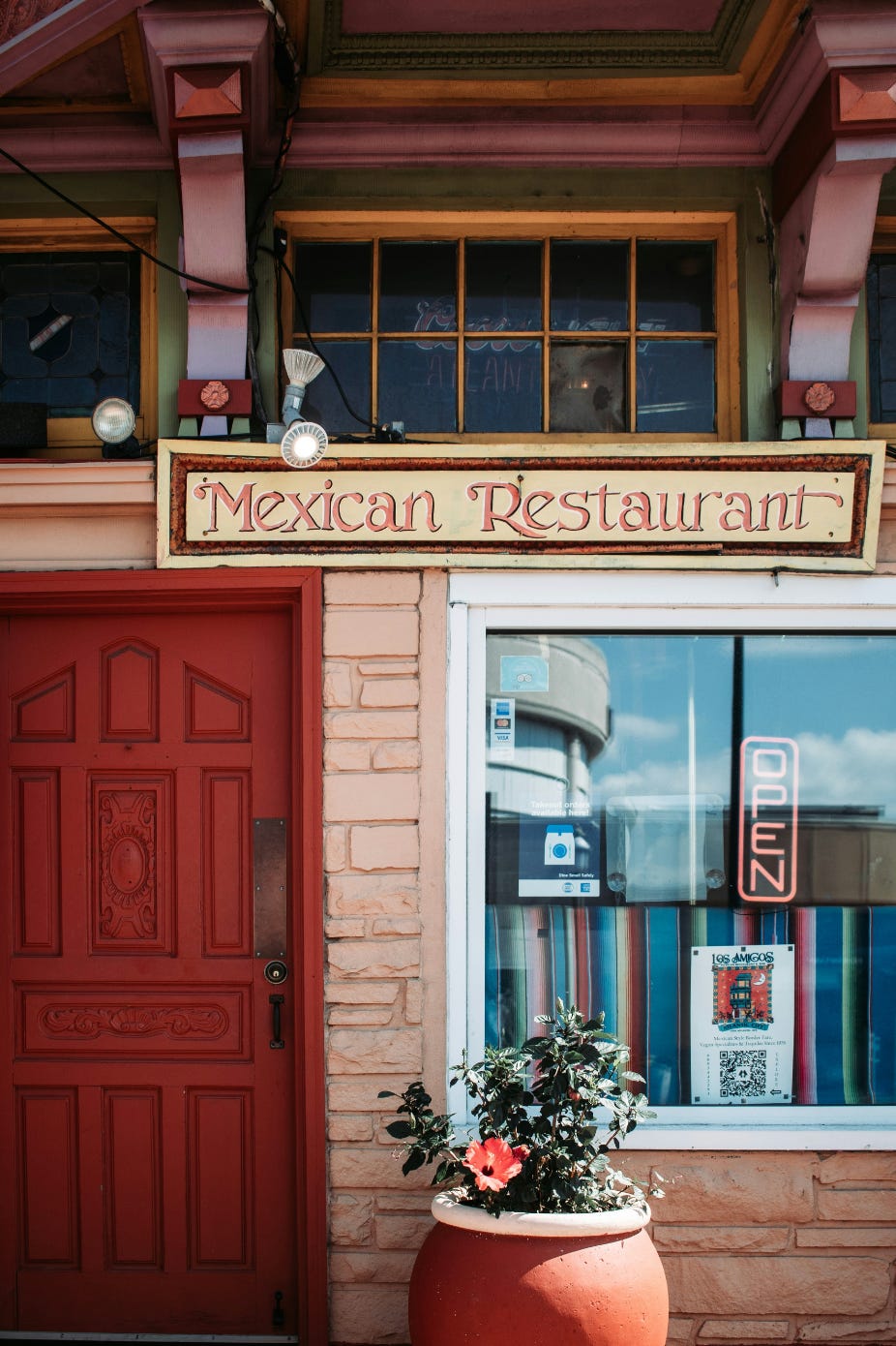 PICTURE THIS - by Anna Schott - FRANK