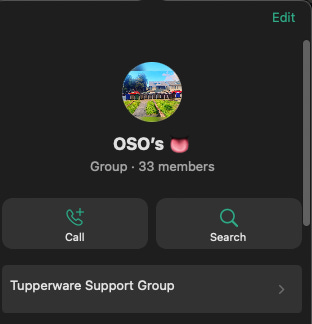 Supernuclear Book Review: Other Significant Others by Rhaina Cohen