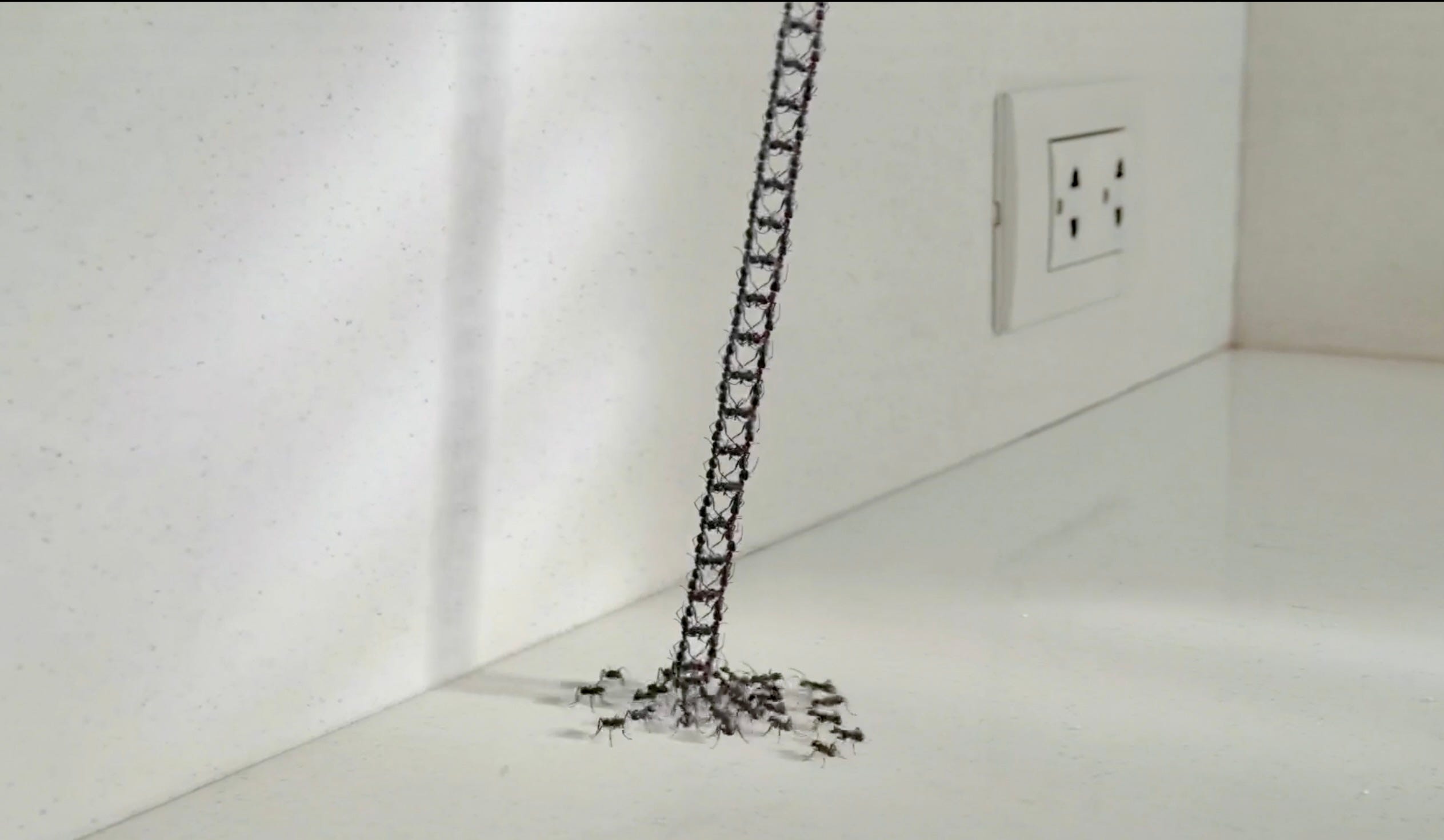 The Best Three Ads Of The First Two Weeks Of July.