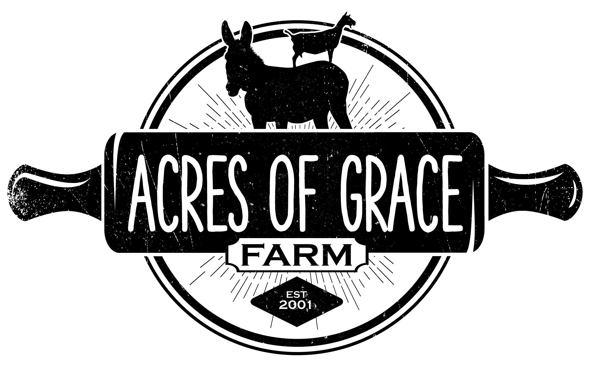 Amy Bourque | Substack