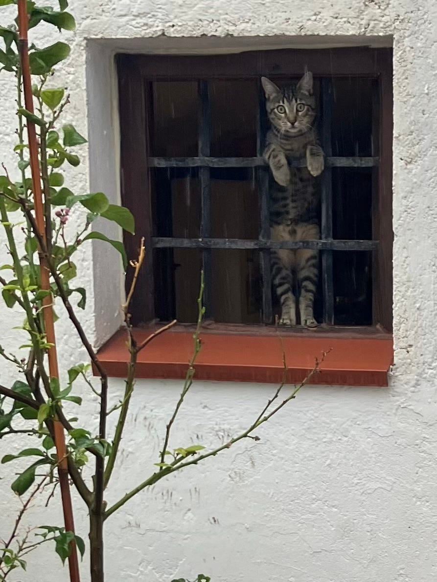 Waiting For Godot: A Realization About The Meaning Of Freedom