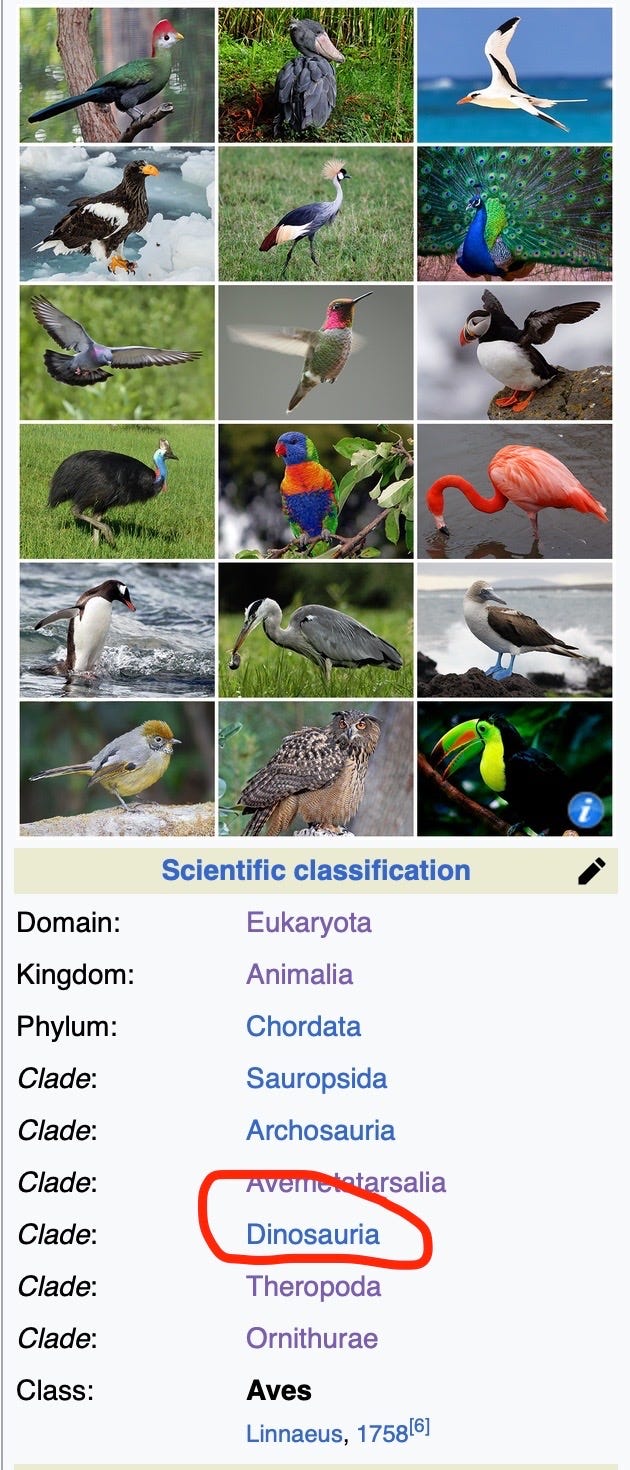 Six Things, Volume 47 - by Lev Parikian - Six Things