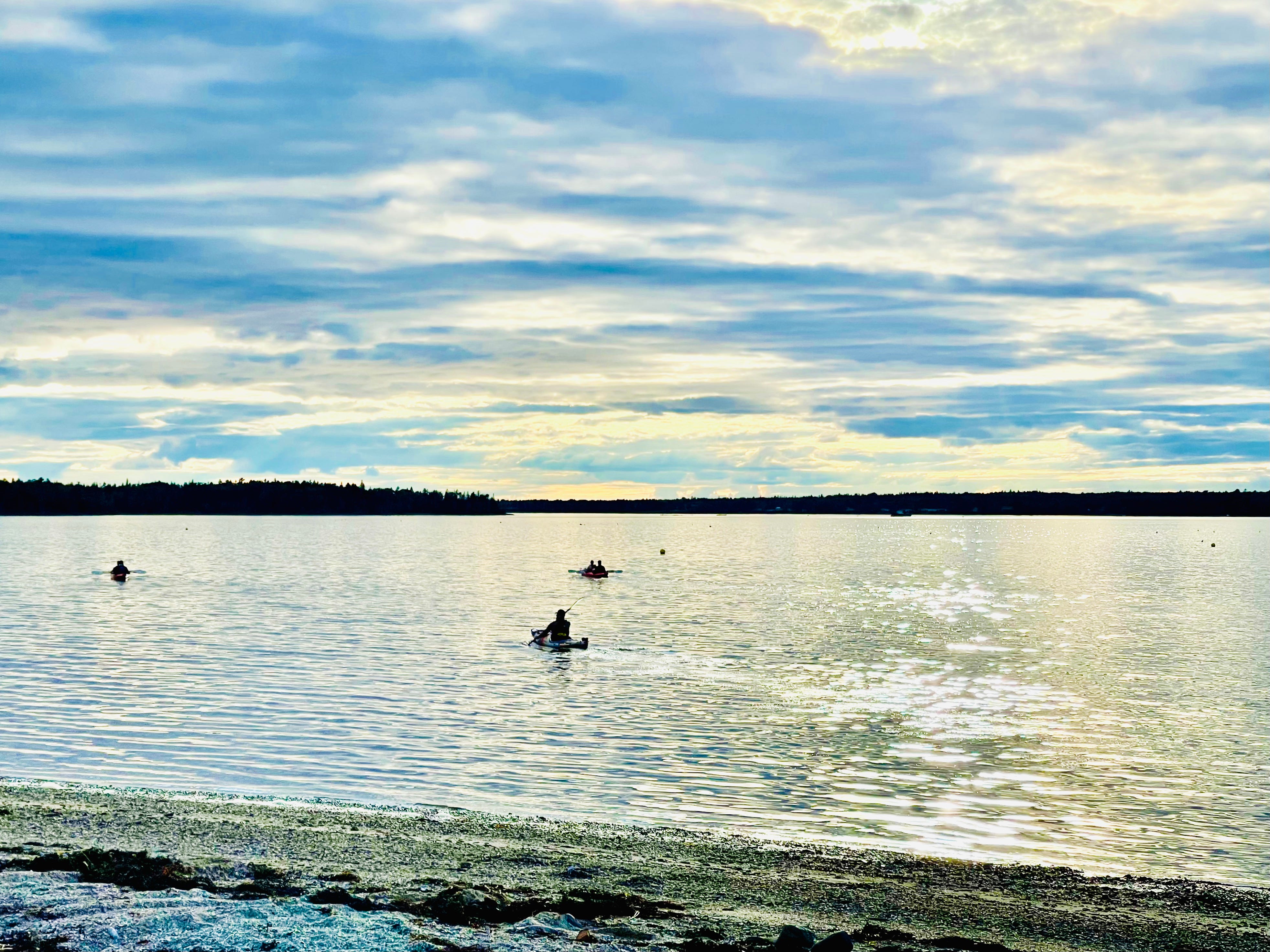 Parks and Recreation Discuss Town’s Storm Damage and if a Sauna ...