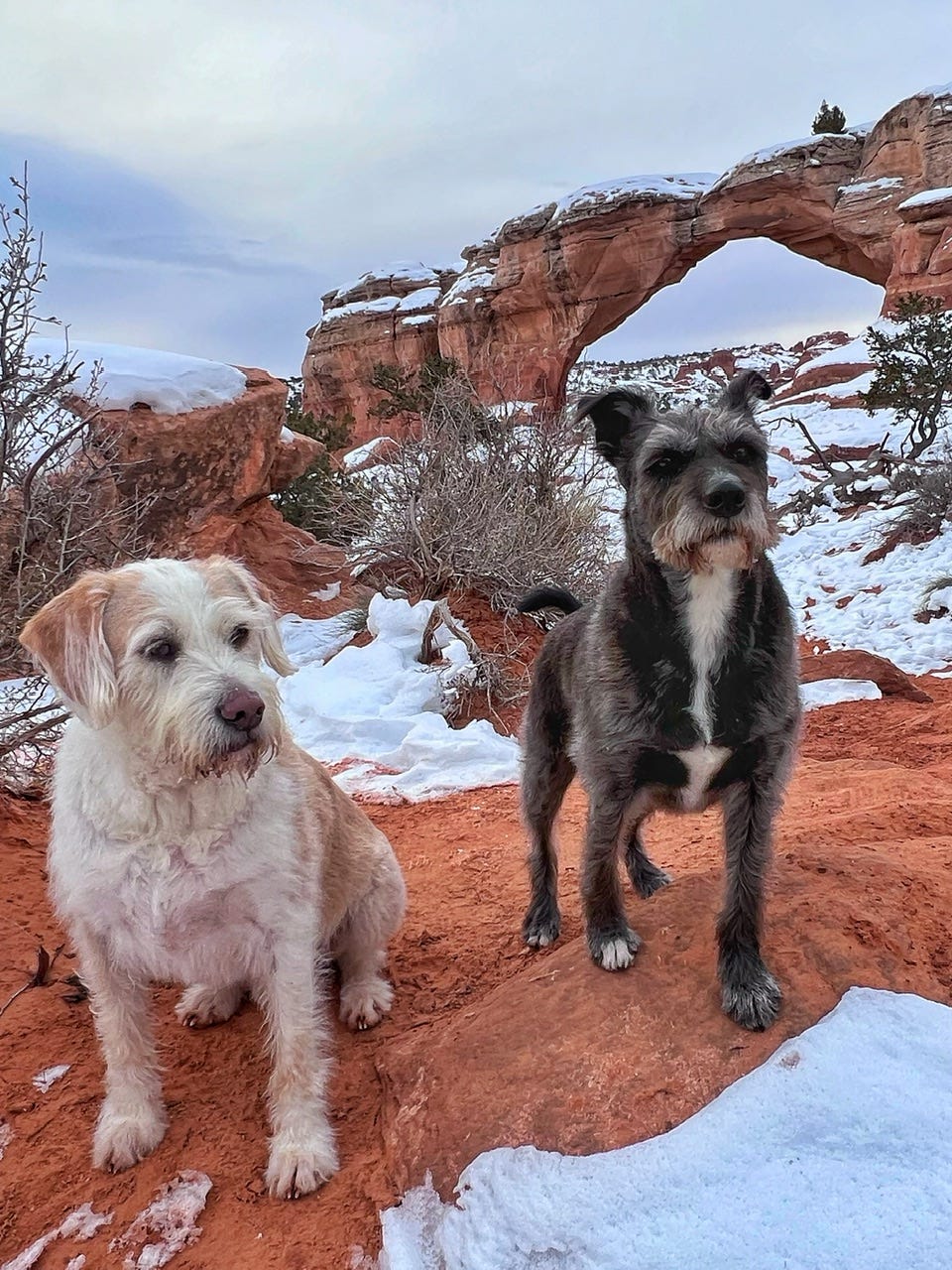 Postcards from the Open Road: Moab - Tom Ryan, Author