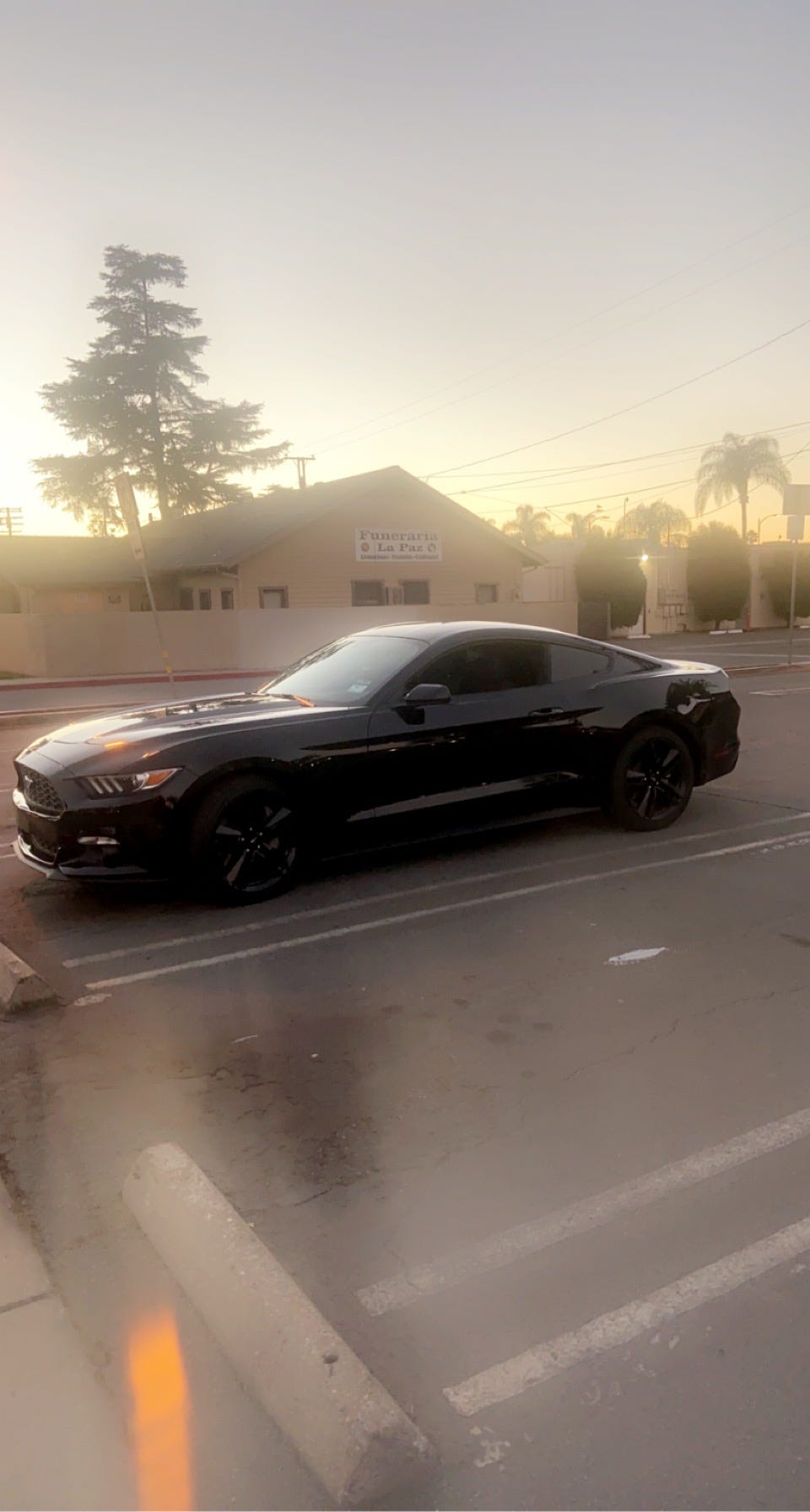 The High Price of Dishonesty - by Bryce - Badge of Burnout