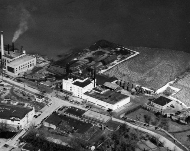 VFYW: Zombies And Haunted Hippie Trees - by Chris Bodenner