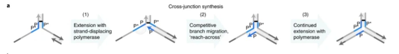 Landscape of Sequencing-based Spatial RNA Technology: Part I