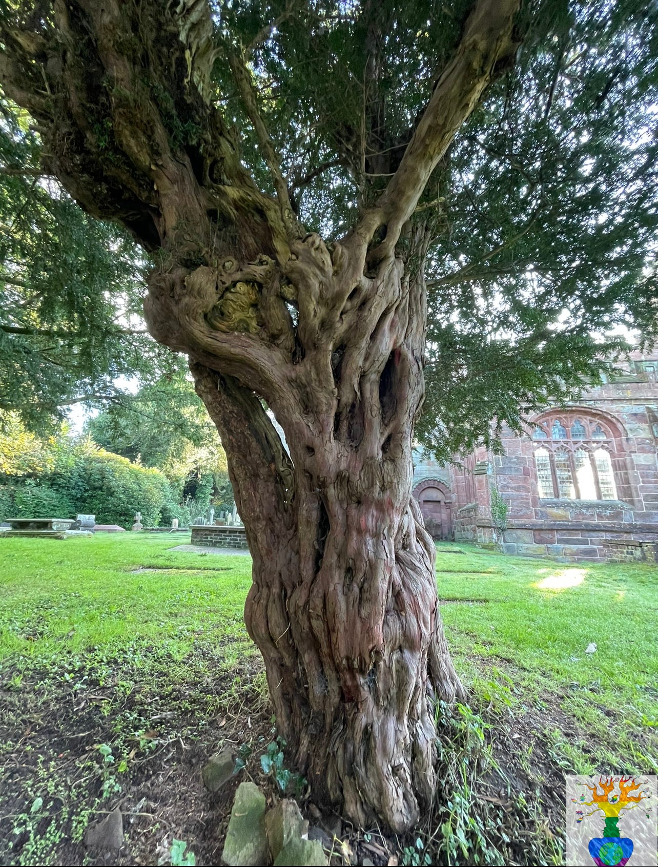 Yew and the Price Paid - by Amanda Claire Vesty