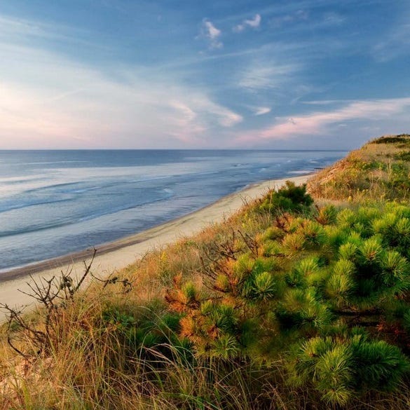 ALONG THE CAPE COD NATIONAL SEASHORE - by James Ron