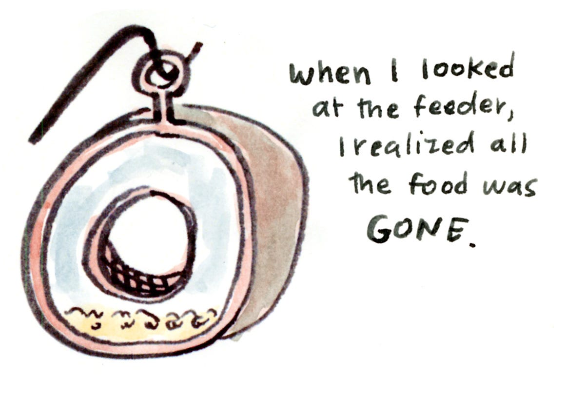 52 Weeks | Zara González Hoang | Substack