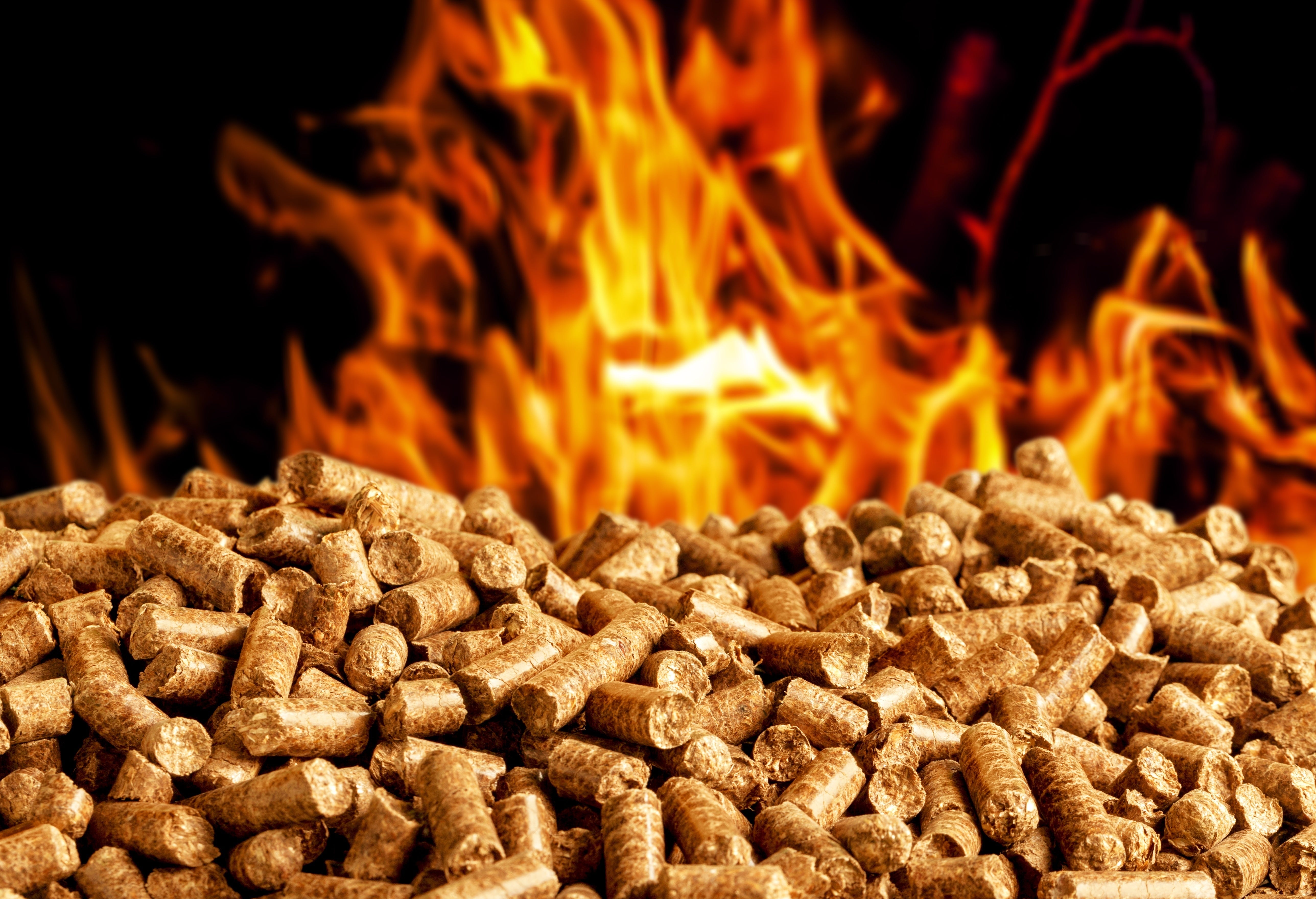 A wood-pellet plant from Big British bioenergy