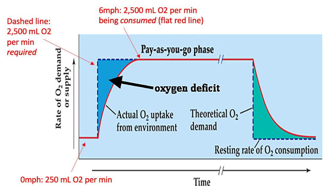 Minimizing the oxygen deficit - by Sean Langan