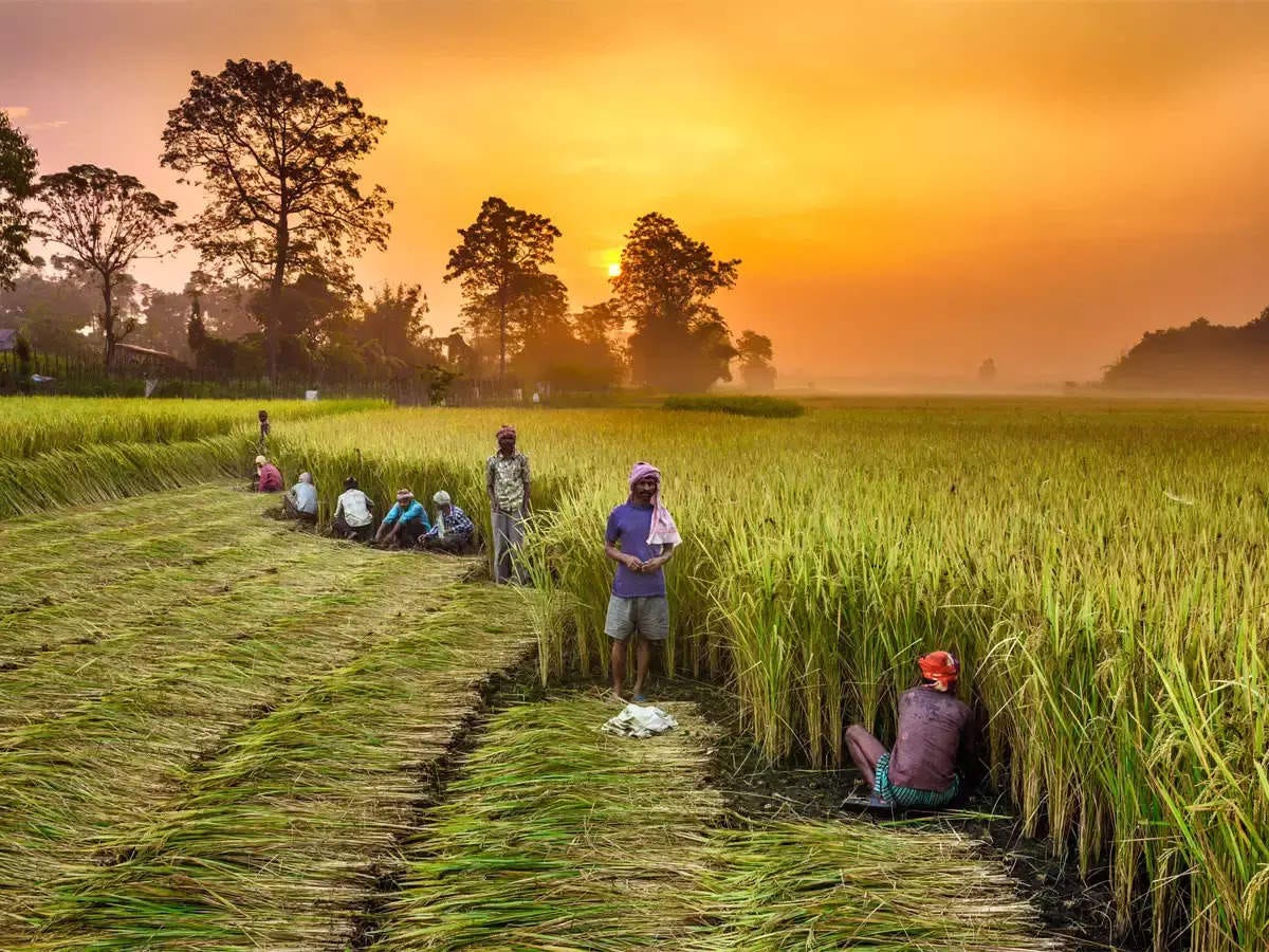 "The Impact of the Green Revolution in India: A Legacy of Increased ...
