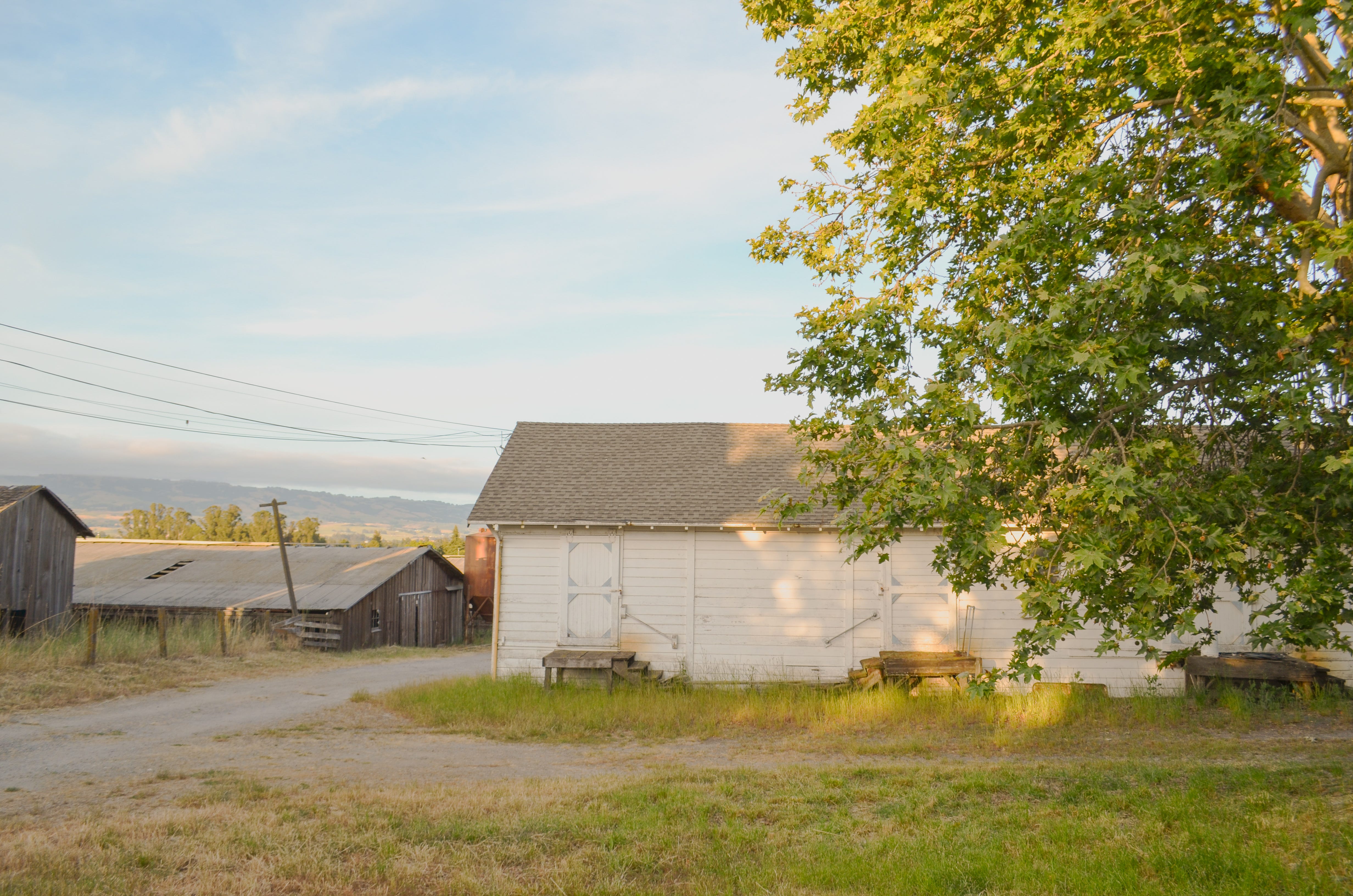 Trusting your own flow - by Lisa Olivera - Human Stuff