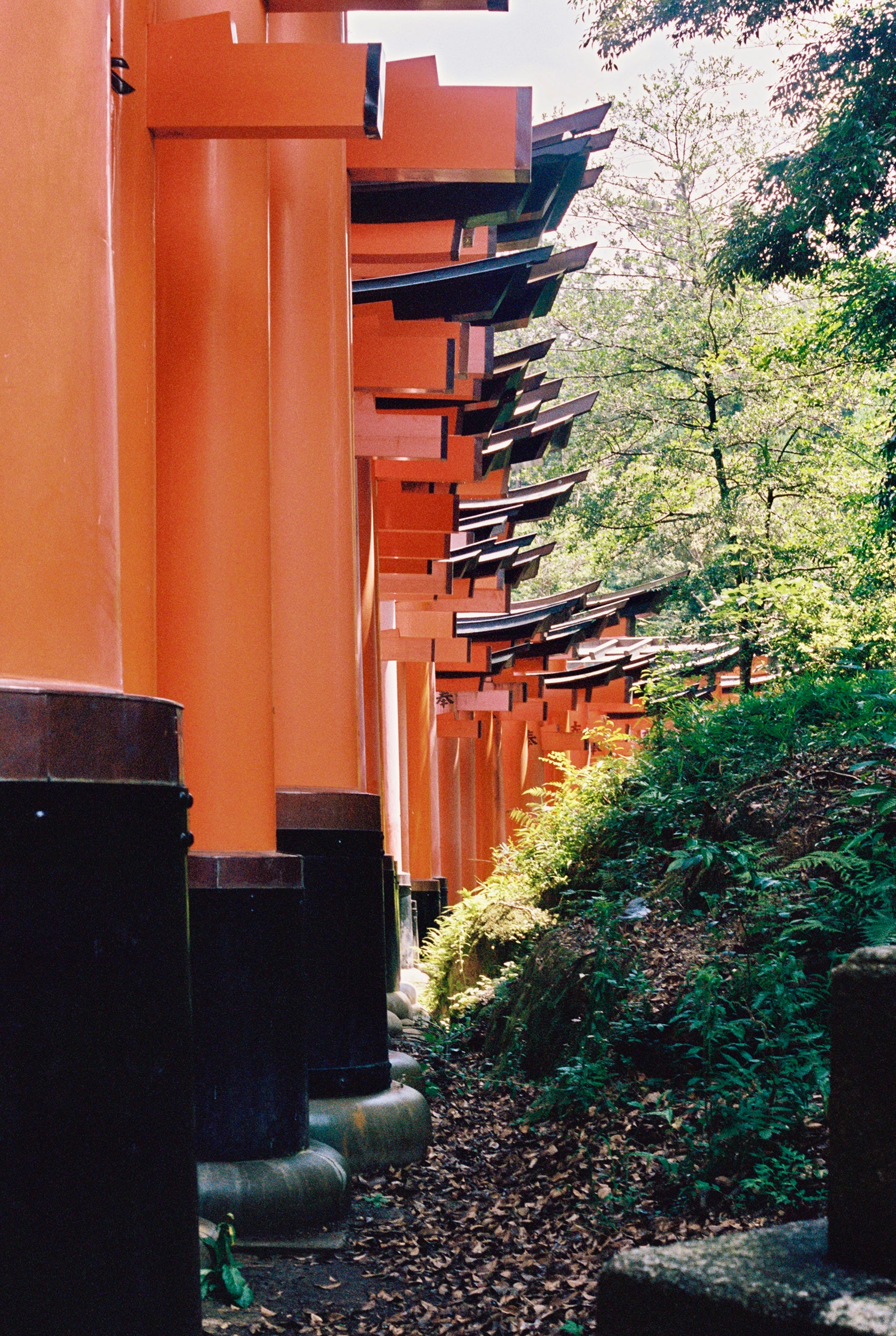 Kyoto On Film - by Laura Jean - Little Musings