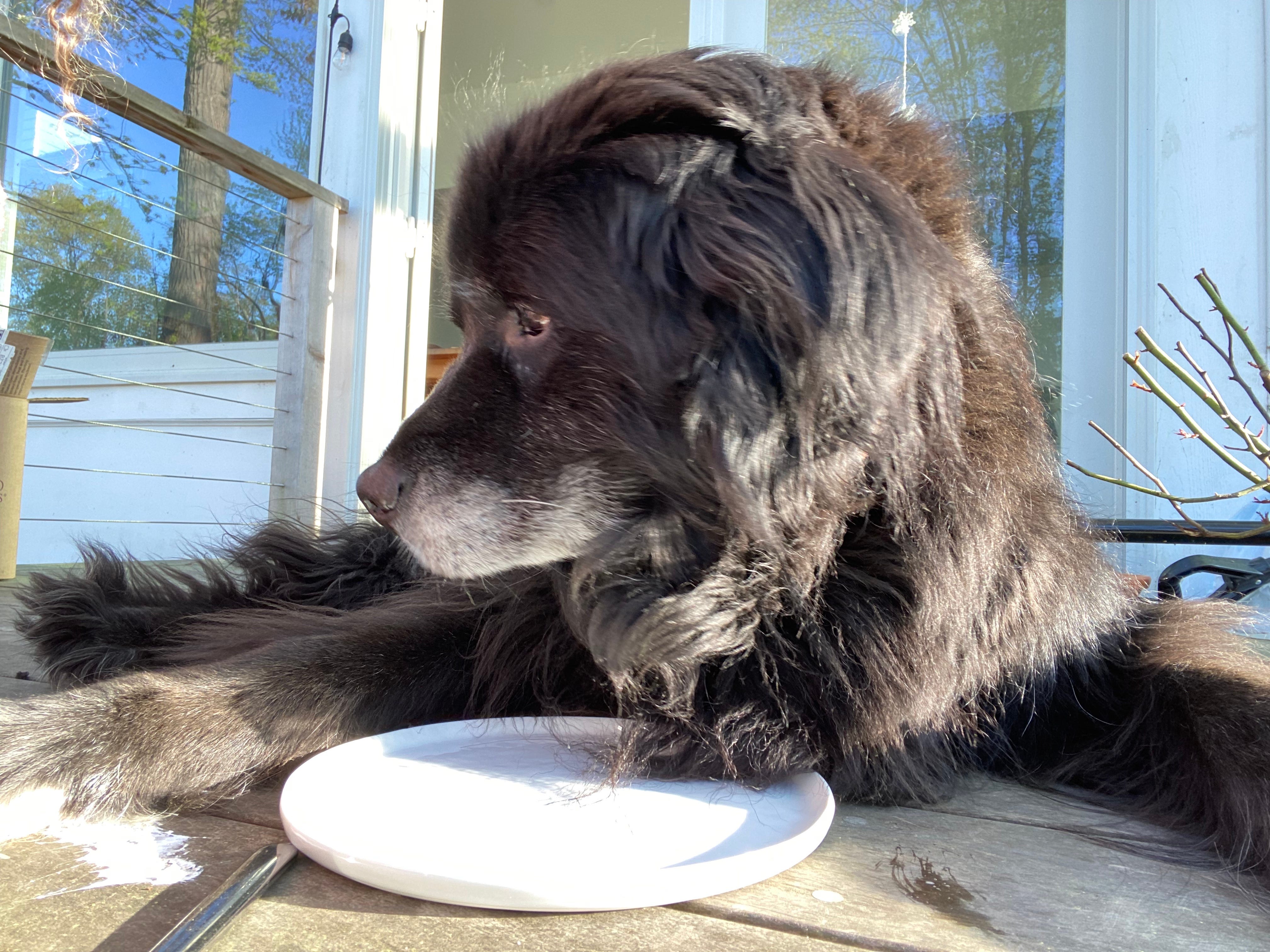 An Apple-Raspberry Crumb Pie for Springtime